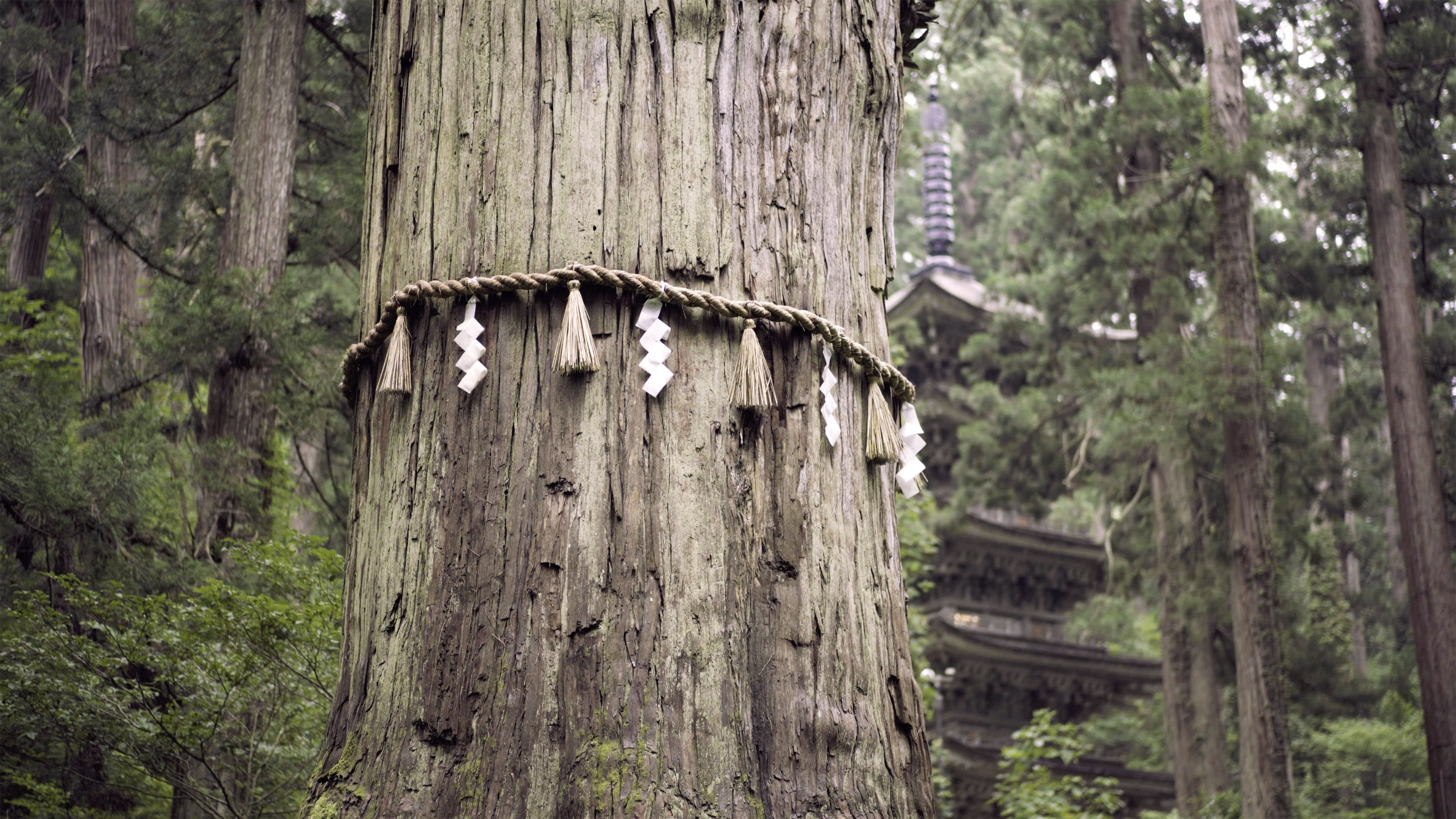 06_Chi-Wen Gallery_Jawshing Arthur Liou_Asa_2019 – Chi-Wen